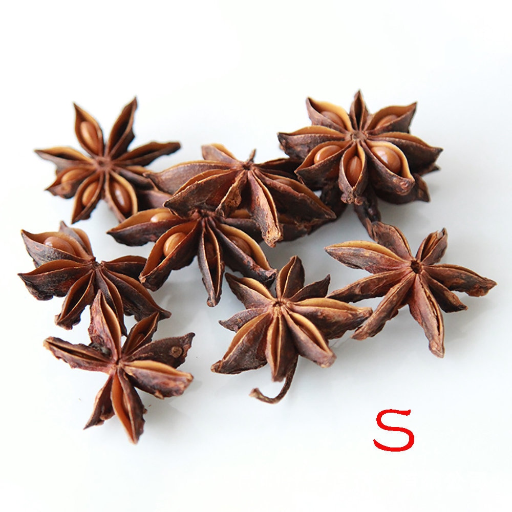 20 Type Dried Flowers Materials，diy Handcraft Materials，diy Craft ...