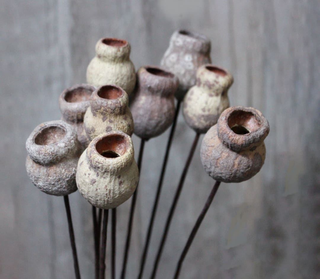 Strange Pea Shooter Branch，handmade Flowers Branch，dry Flowers ...