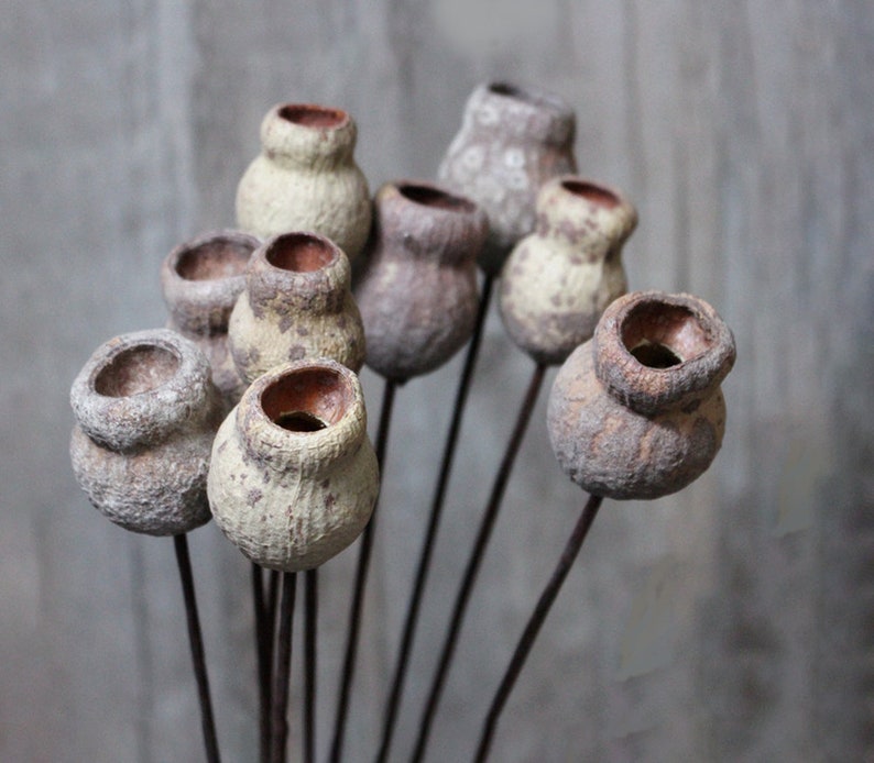 Strange Pea Shooter Brancheshandmade Flowers Branchesdried | Etsy