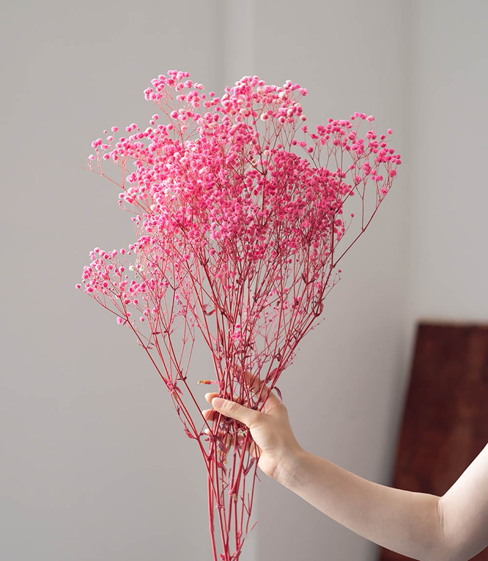 4 Color Preserved Gypsophila Bunch dried Baby's Breath - Etsy