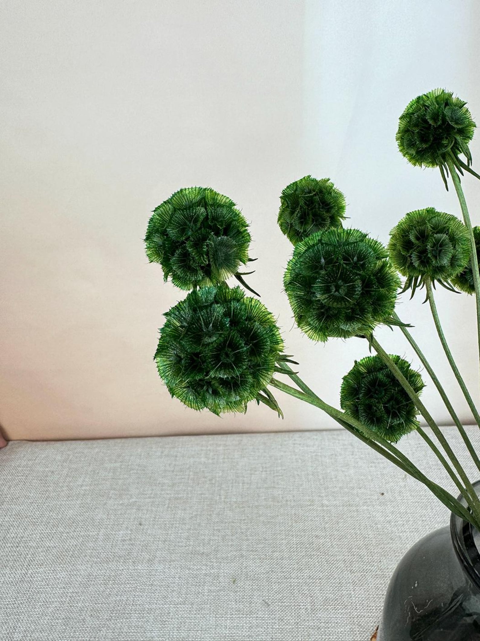 10 Pcs Dark Green Dried Scabiosa Pod, Natural Flowers Balls, Natural ...
