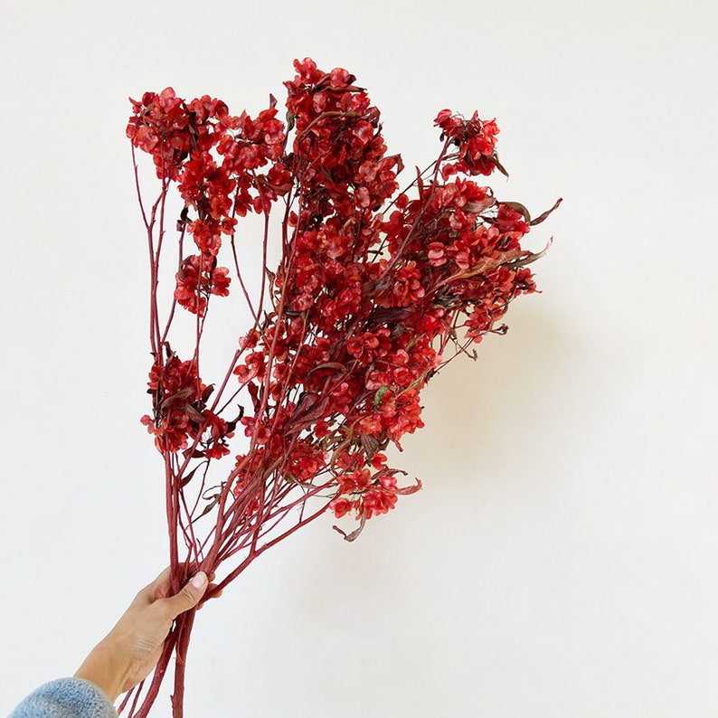 Dry Red Flowers Bouquetdried Flowers Arrangementcraft Supply - Etsy