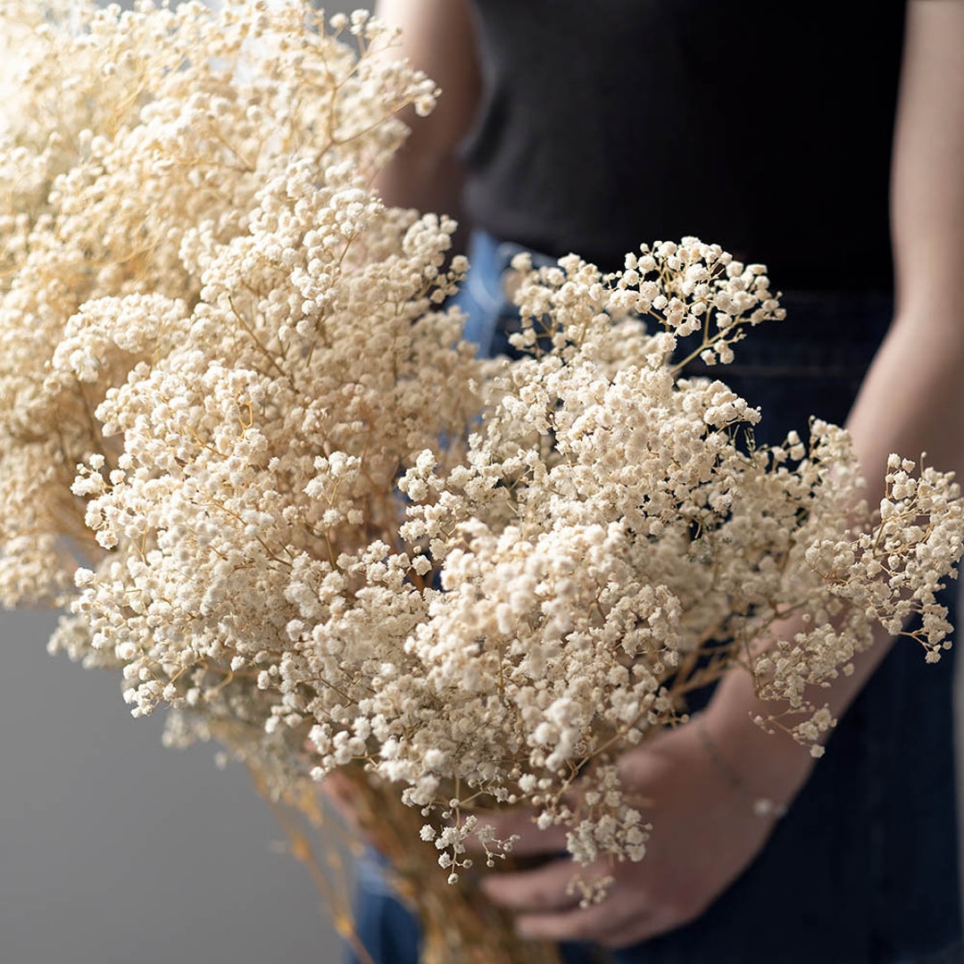 4 Color Preserved Gypsophila Bunch ，dried Baby's Breath Bouquet，dried ...
