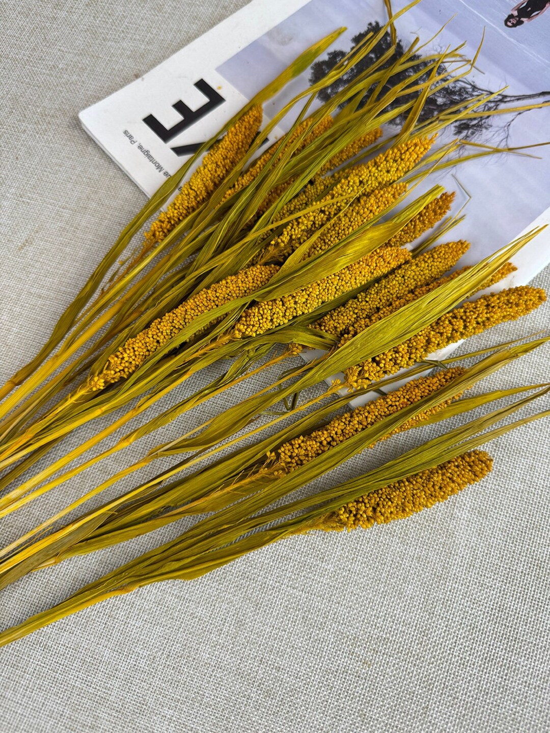 10 Pcs Yellow Millet Ears, Dried Flower Bouquet, Wedding Grass ...