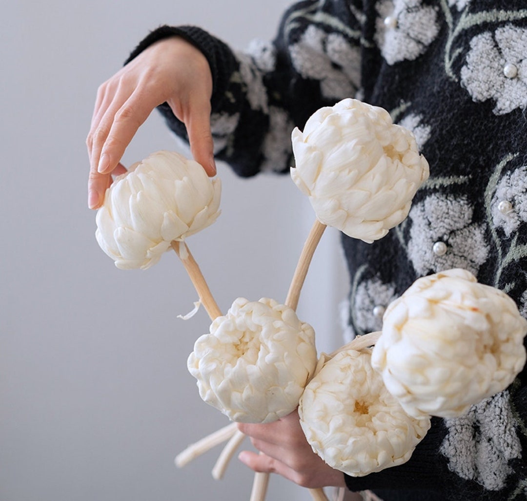 Bleaching White Protea Flower Balls，preserved Protea Stems，dry Flower ...