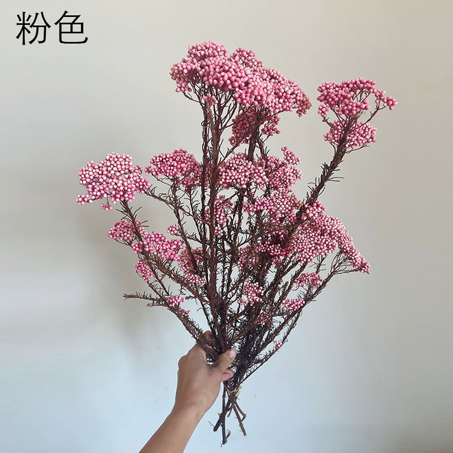 Preserved AUS Rice Flowers Bunchnatural Flowers Bouquetdry - Etsy