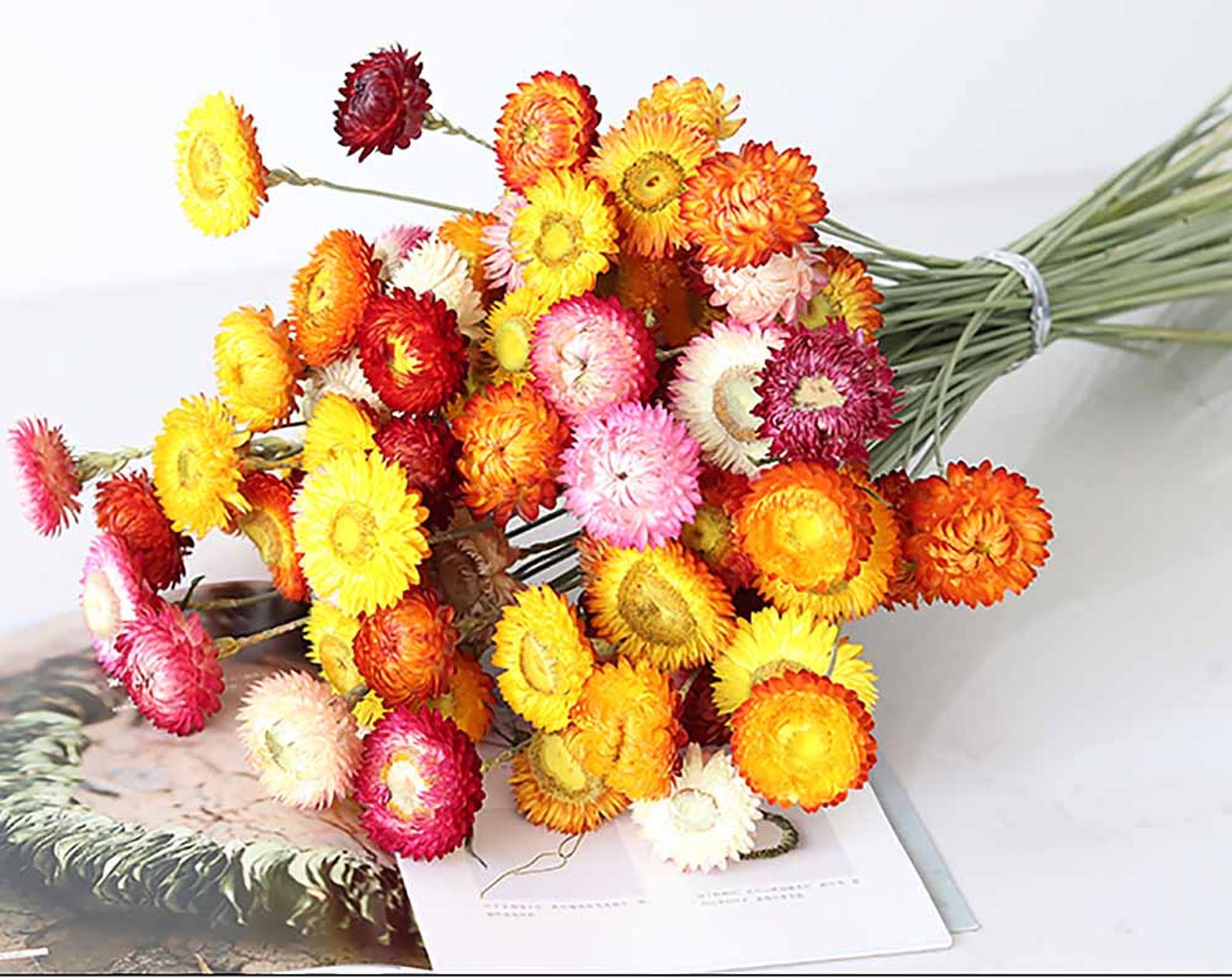 Mixed Dried Strawflowers Bunchdried Strawflowers Heads With - Etsy