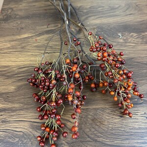 Dried Small Red Fruits Branches，natural Red Flower，dry Flower Bunch ...