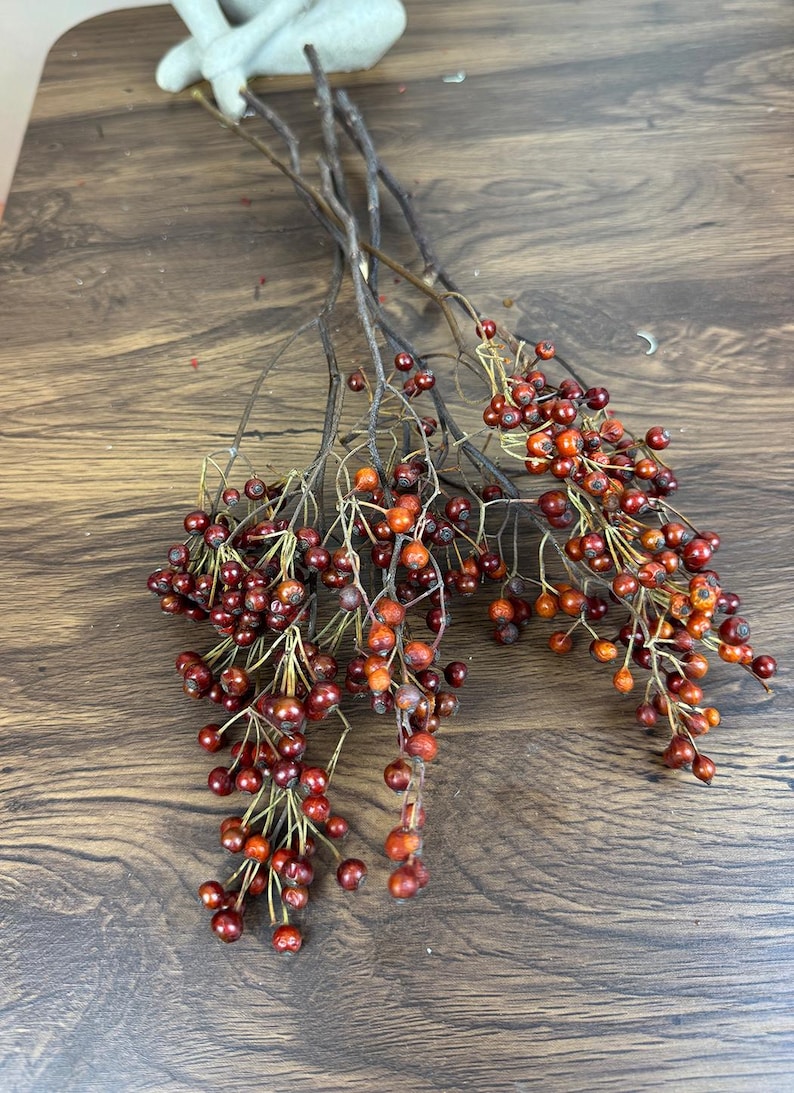 Dried Small Red Fruits Branches，natural Red Flower，dry Flower Bunch ...