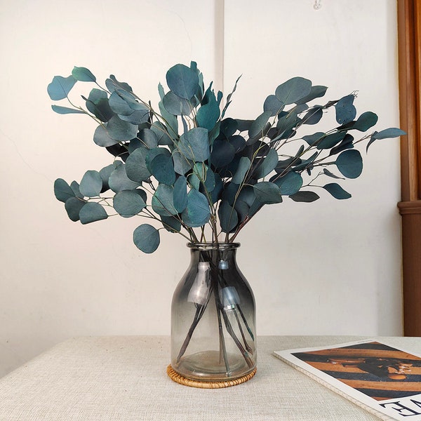 Eucalyptus Decor - Etsy
