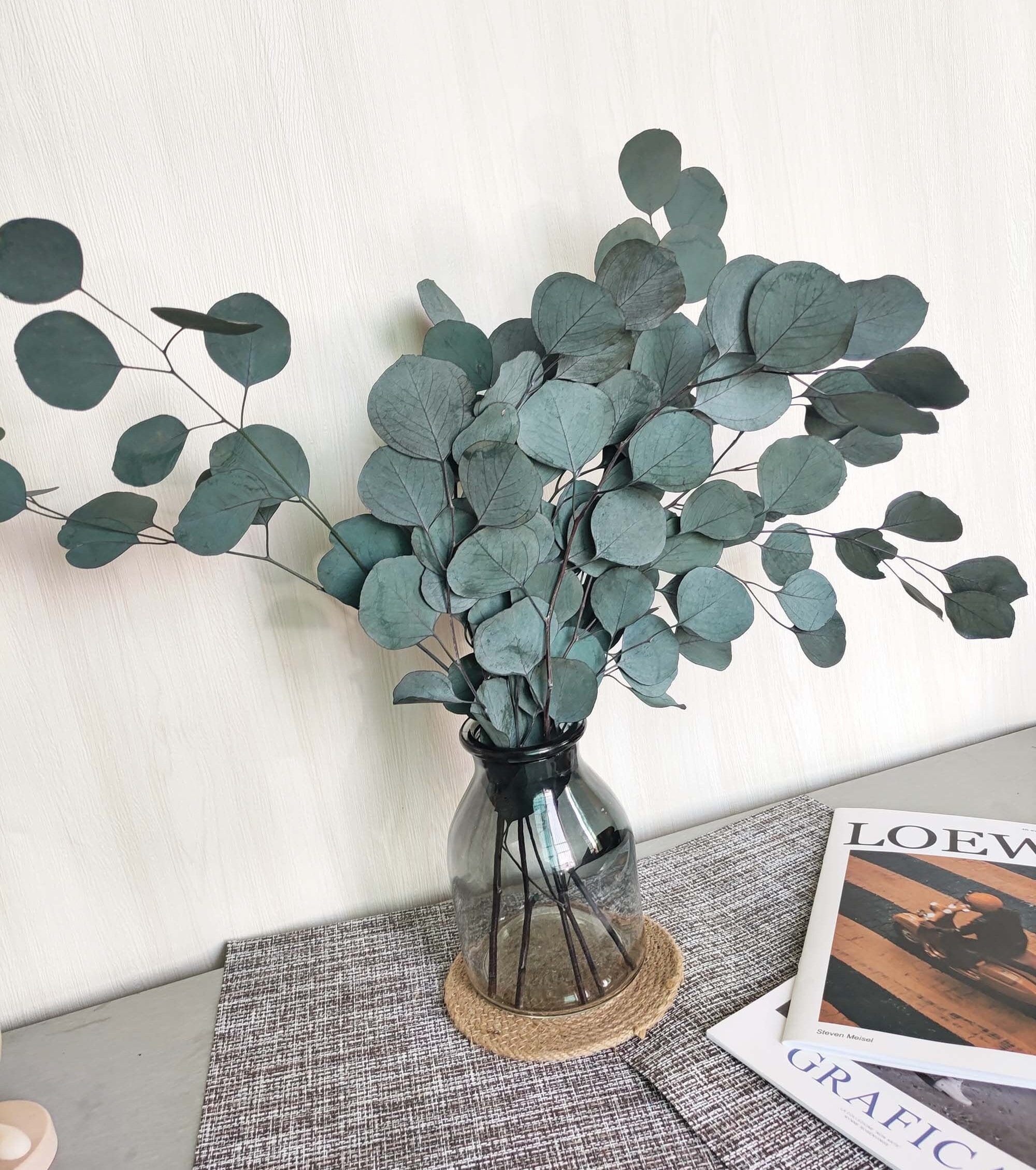 Silver Dollar Plant Arrangement