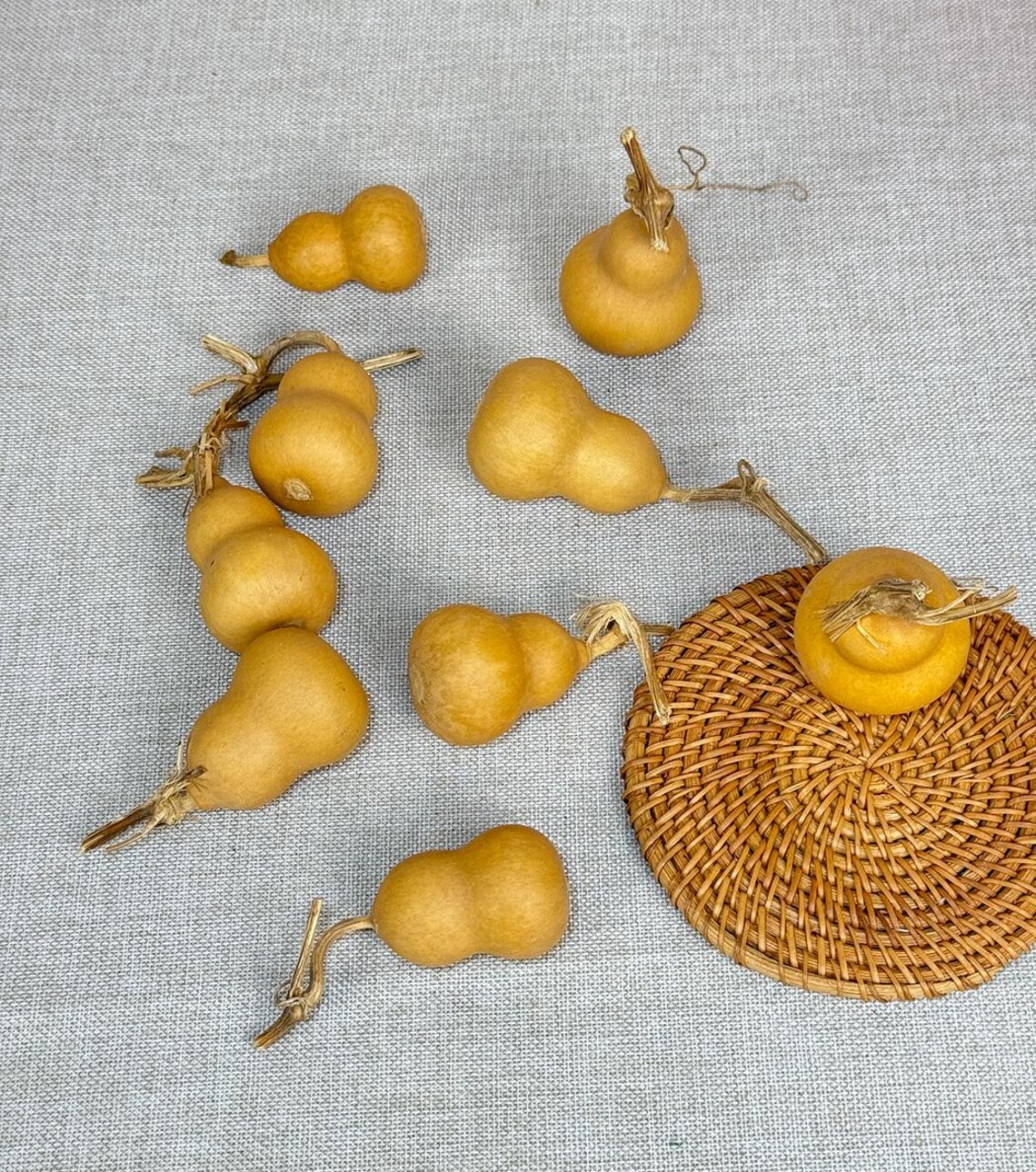 Natural Mini Dry Gourds, Small Gourd Decor, Handcraft Gourd DIY Craft ...