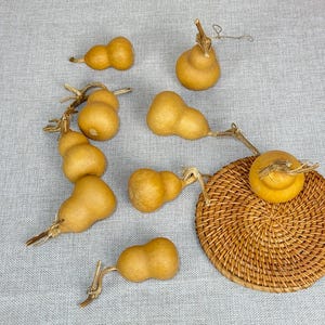 Natural Mini Dry Gourds, Small Gourd Decor, Handcraft Gourd DIY Craft ...