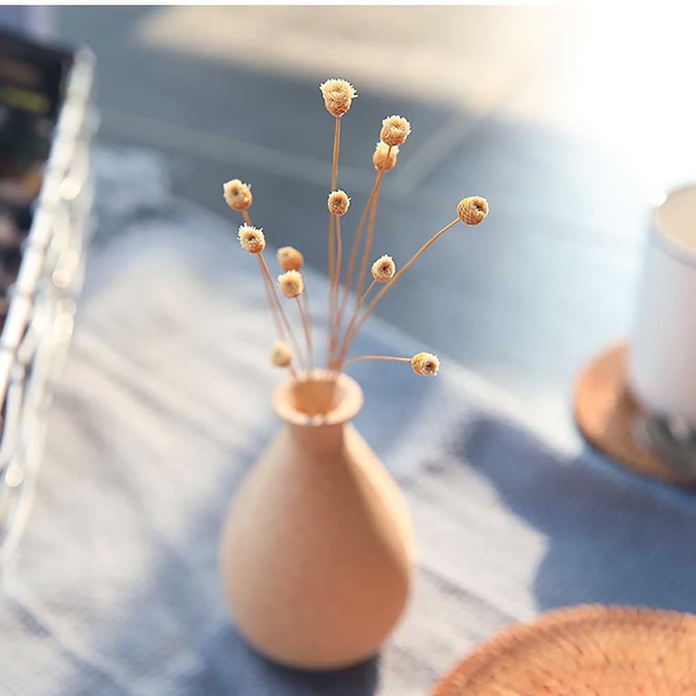 100/200 Sticks Dried Mini Star Flowers Bundle natural Small - Etsy