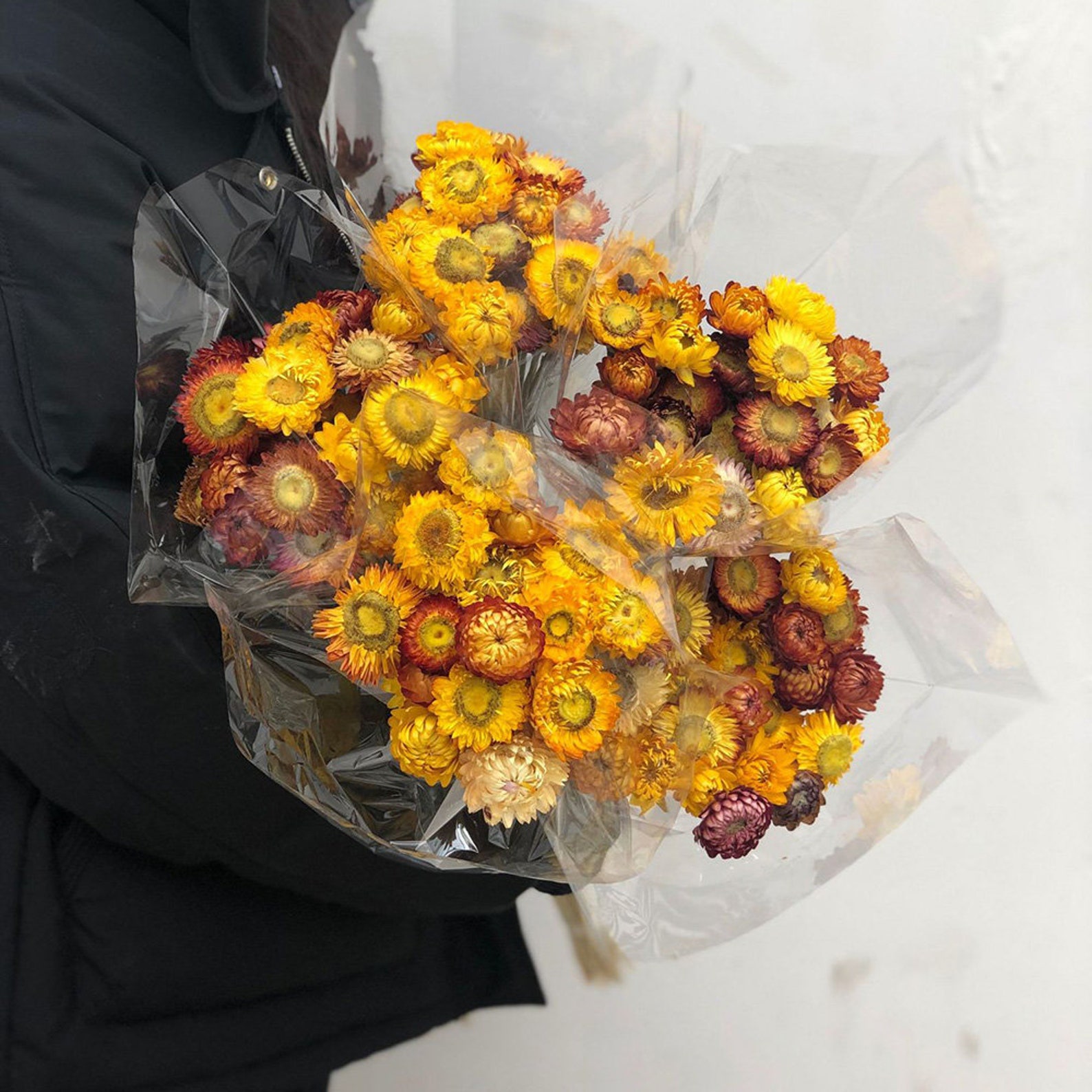 Dried Helichrysum Bouquetvase Filler Dry Flowers - Etsy