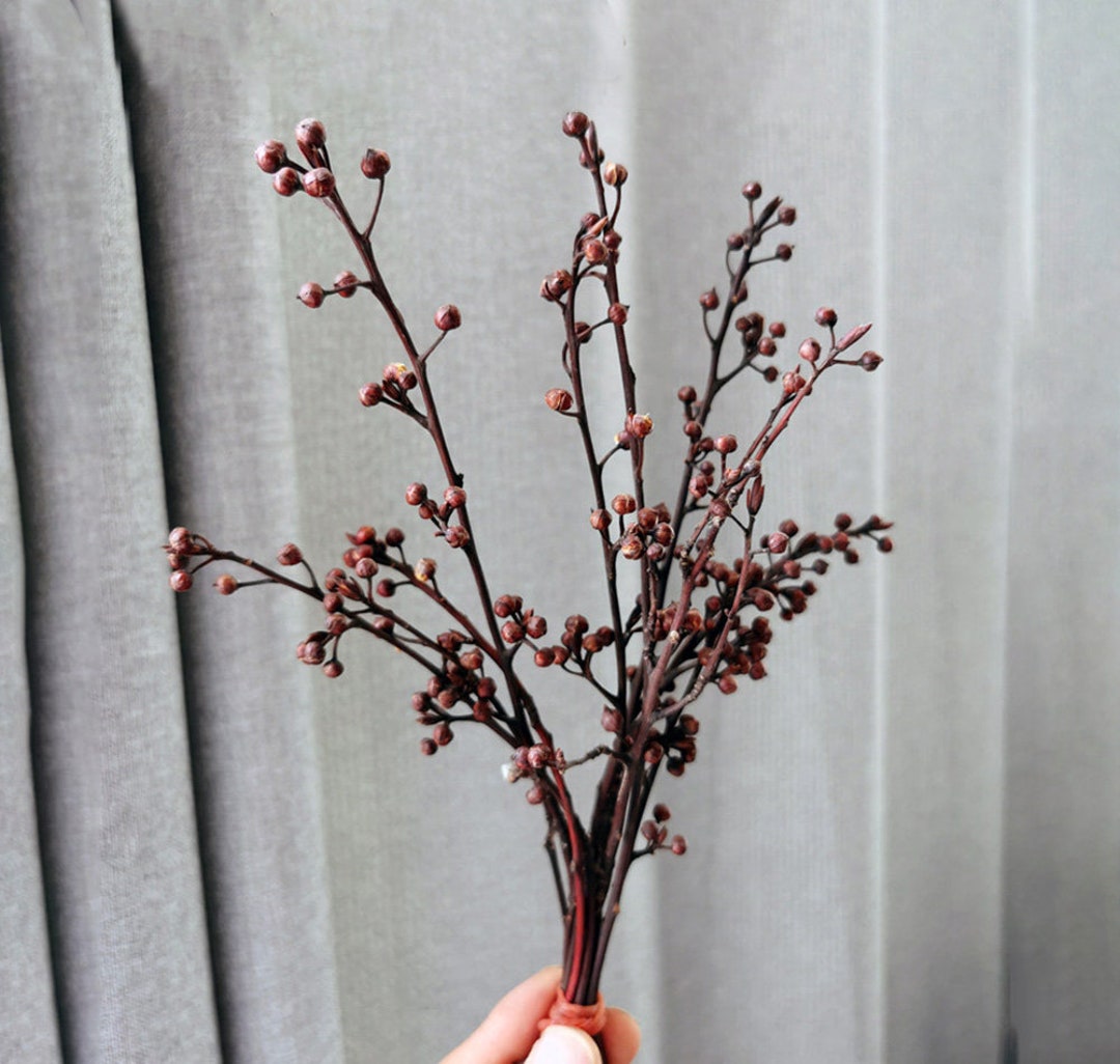 10 Sticks/natural Twigs Bunch ， Dried Twigs Sticks for Vase Filling ...