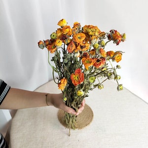 4 Color Dried Small Ranunculus Bunchdried Flower Bouquetdry Flower ...