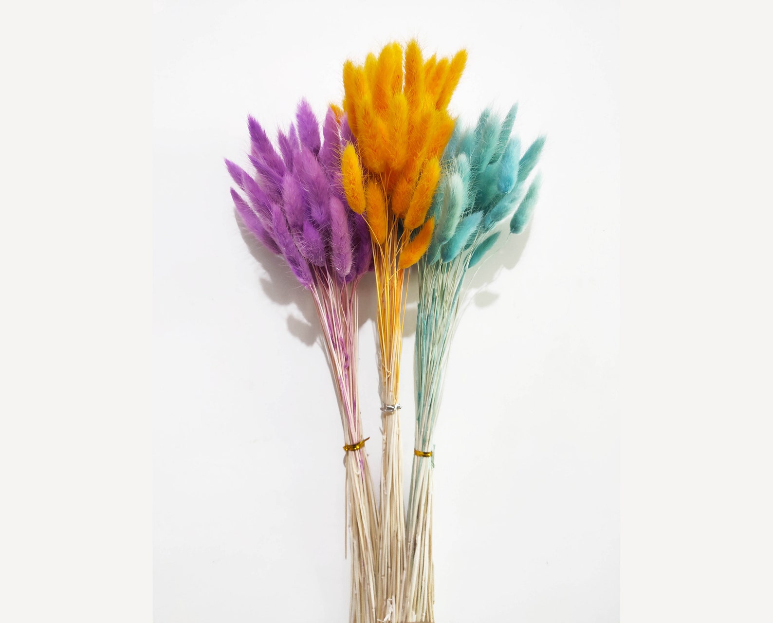 Dried Lagurus ovatusdried grass flower decoration dried | Etsy