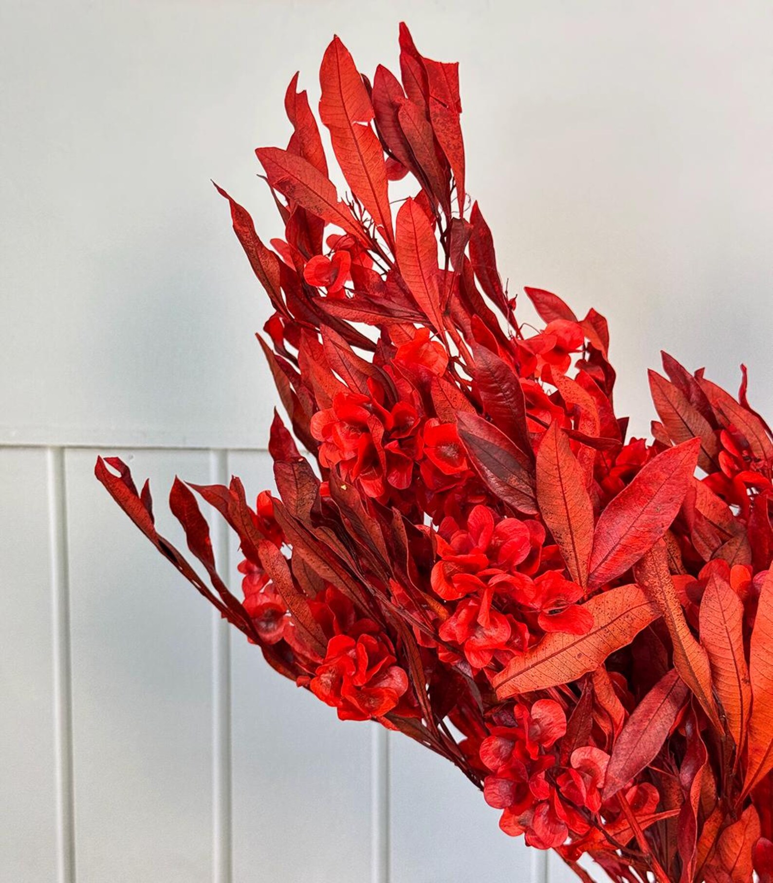 Red Butterfly Flower Bunch，dried Flower for Vase Filler，dried Flower ...