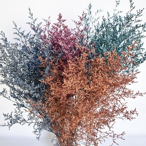 3 Color Preserved Caspia Grass Bunch，dried Grass Branches，dry Flower ...