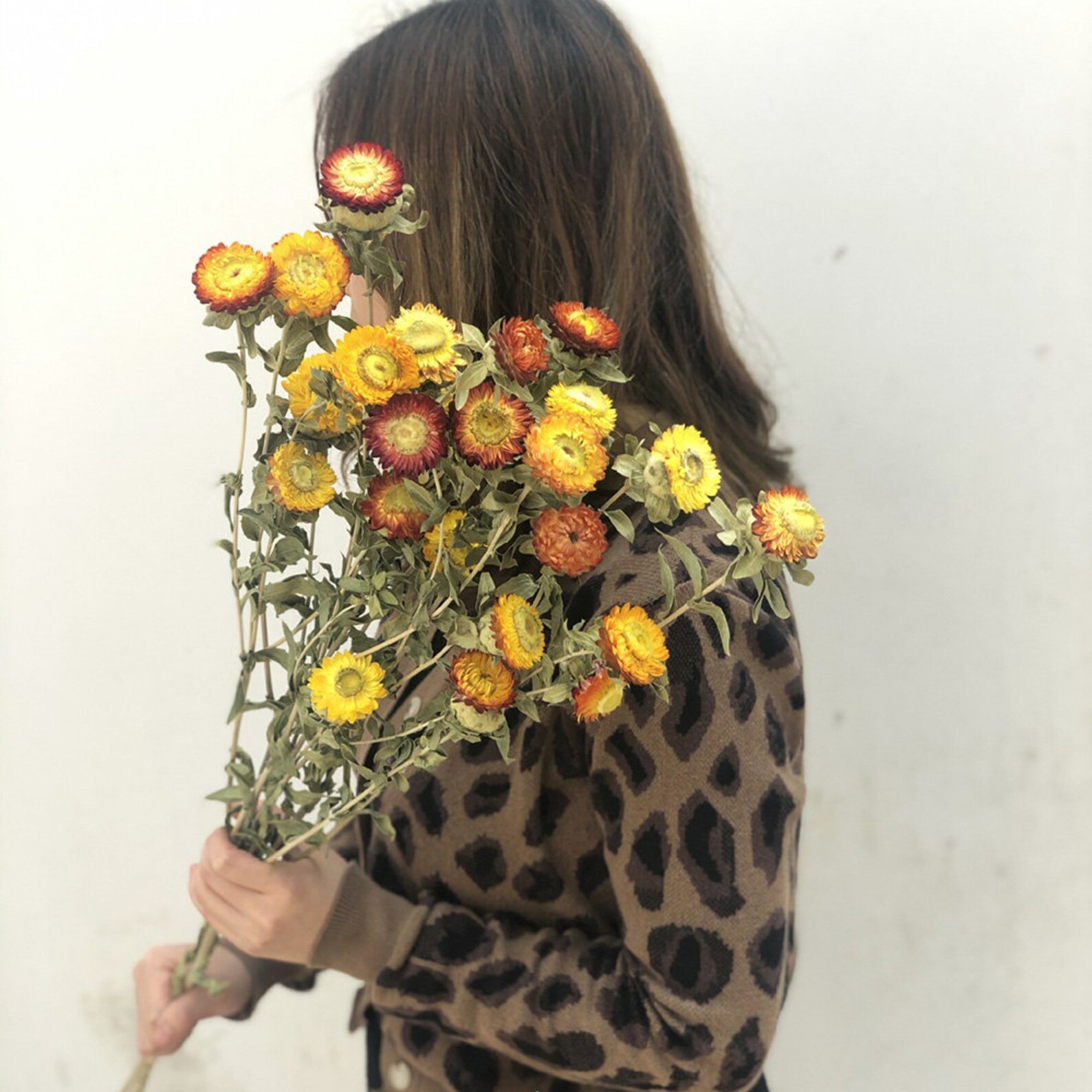 Dried Helichrysum Bouquetvase Filler Dry Flowers - Etsy