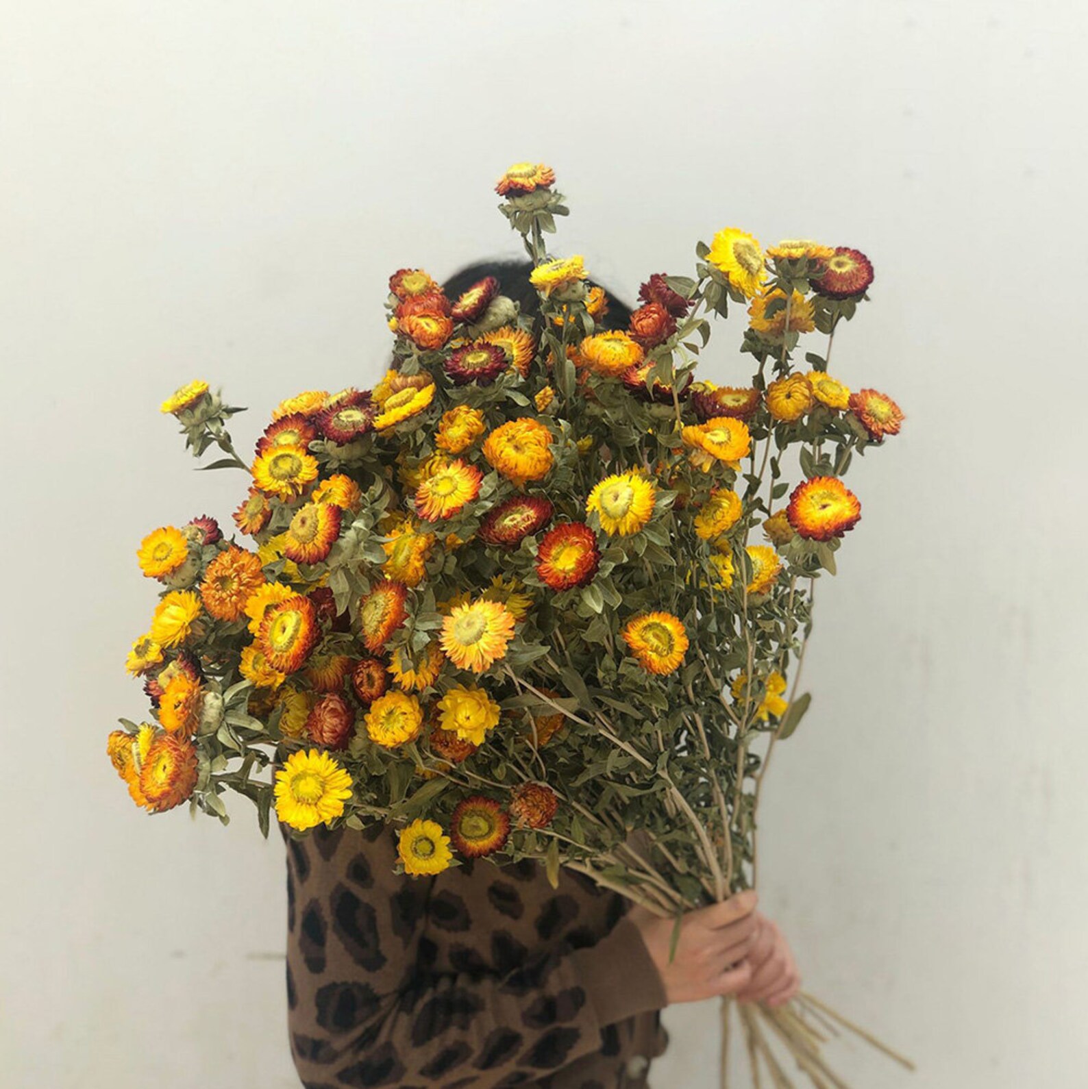 Dried Helichrysum Bouquetvase Filler Dry Flowers - Etsy