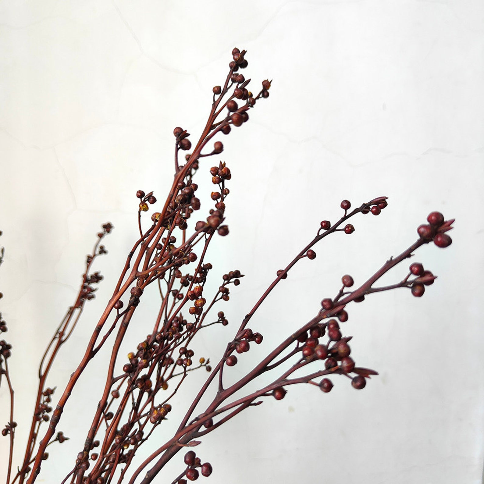 Natural Twigs Bunch ，10 Sticks，dried Flower for Tall Vase Filling ...