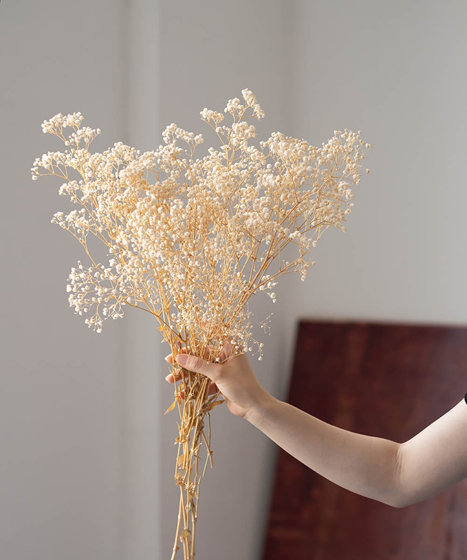 4 Color Preserved Gypsophila Bunch dried Baby's Breath - Etsy