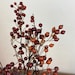 Dried Small Red Fruits Branches，natural Red Flower，dry Flower Bunch ...