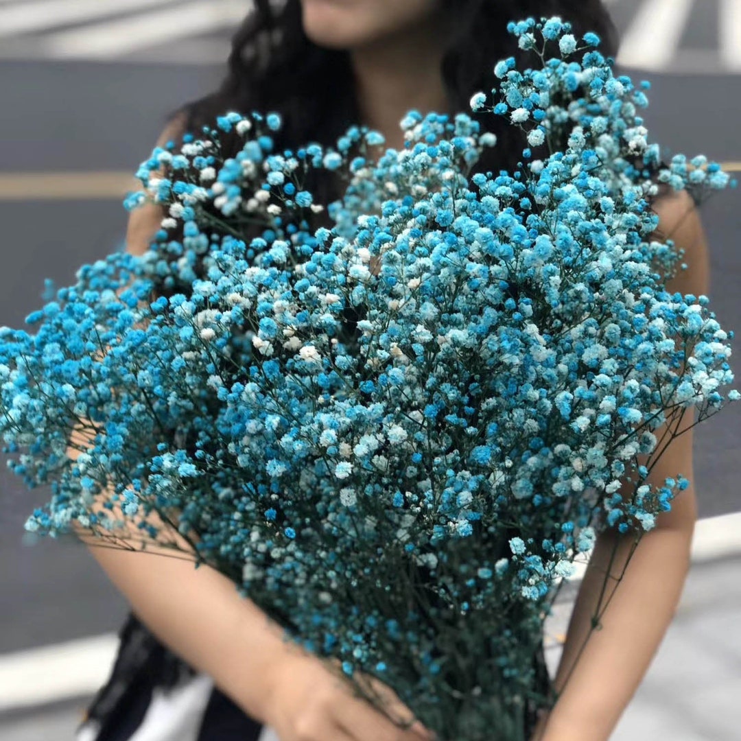 Preserved Gypsophil Bouquetdried Baby's Breath Flowersdried Flowers ...