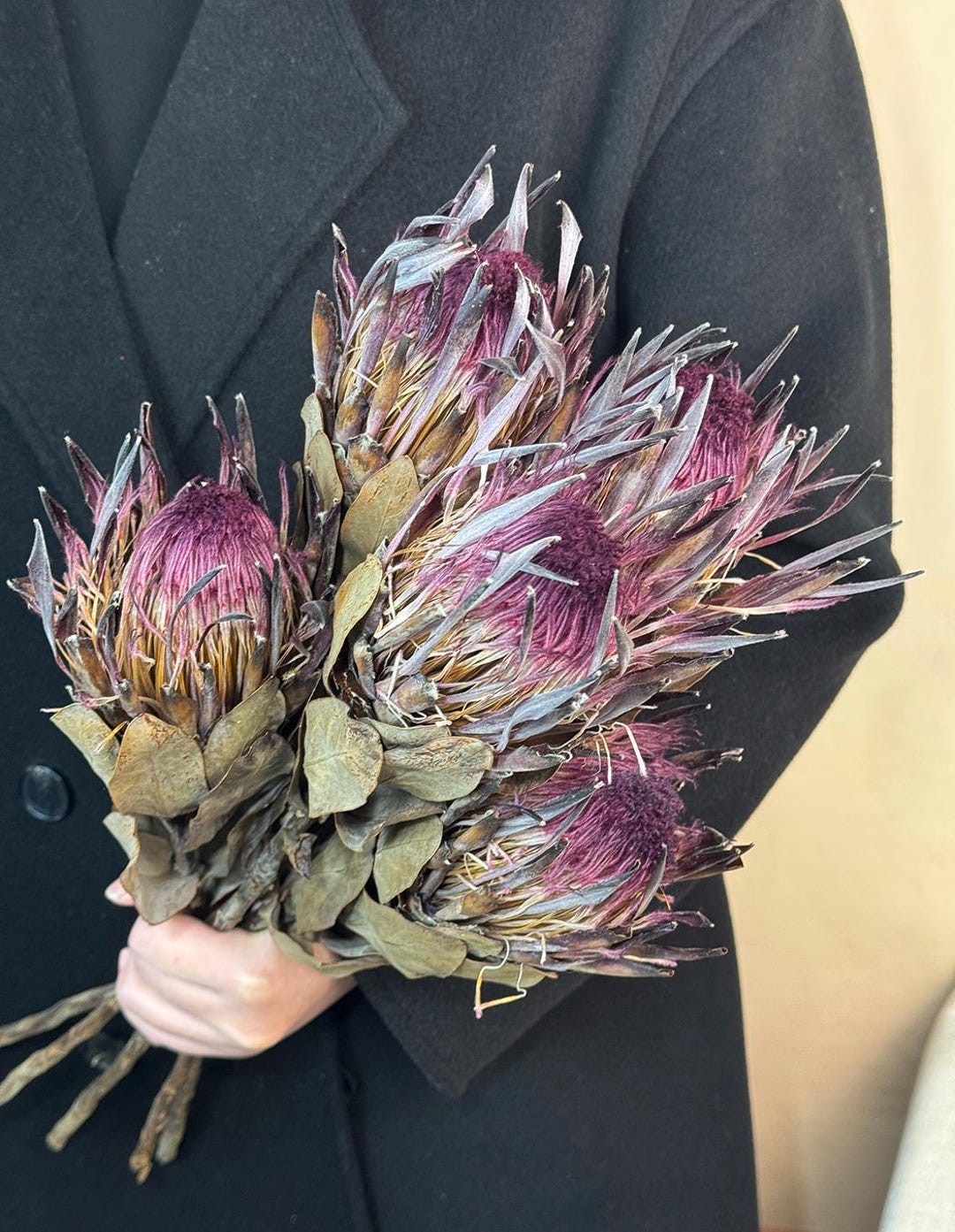 Dried Imperial Protea Flower Stems, Natural Vase Filler, Dry Flower ...