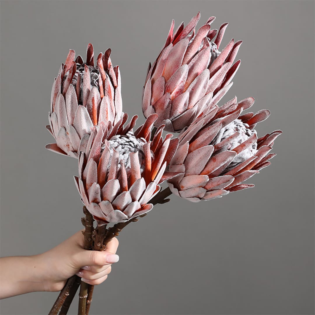 1/2/5 Artificial Protea Stem，high Real Feel Protea Flower，flower Arrangement，vase Filling ...
