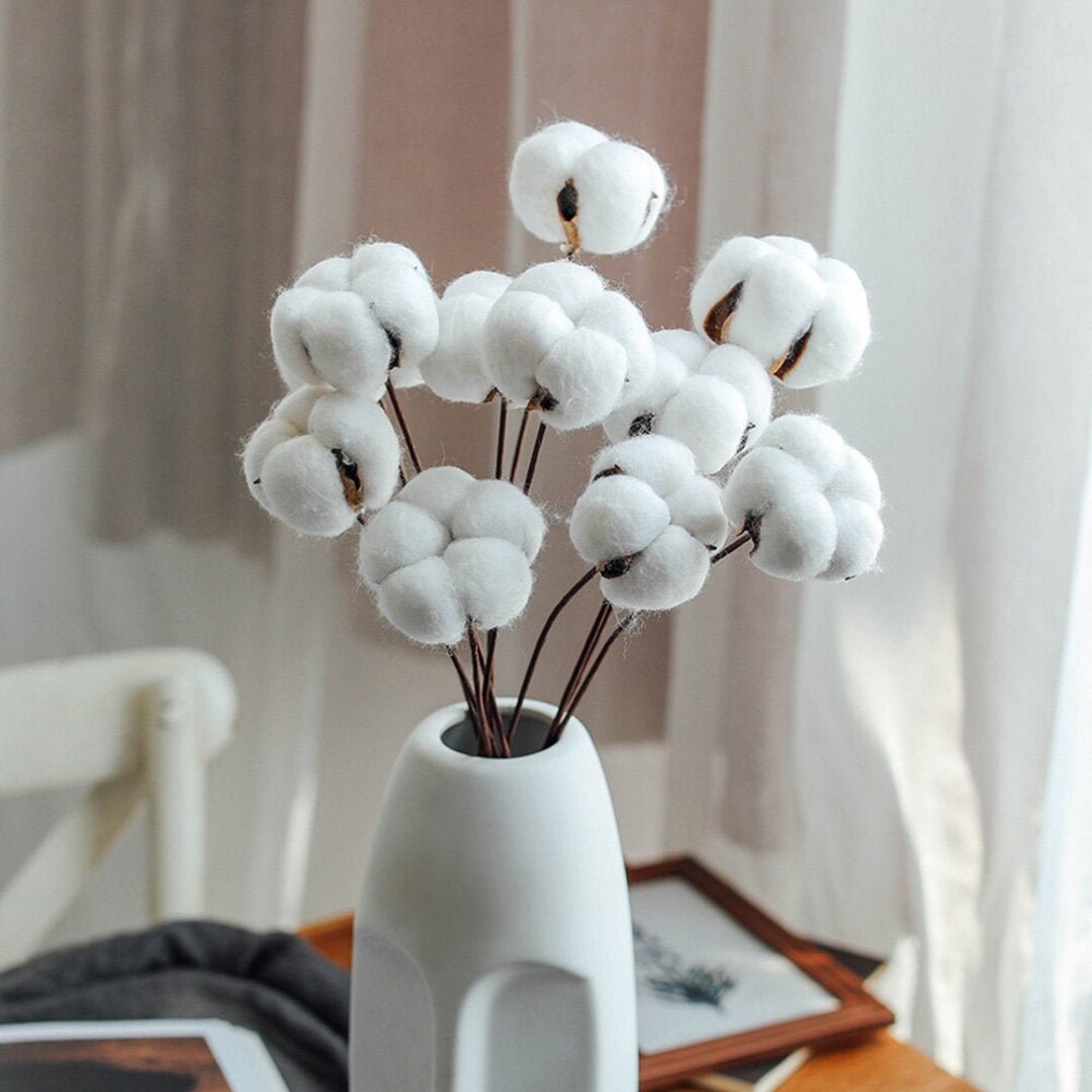 5/10 Pcs Large Cotton Branches ,handmade Cotton Flowers ,dried Flowers ...