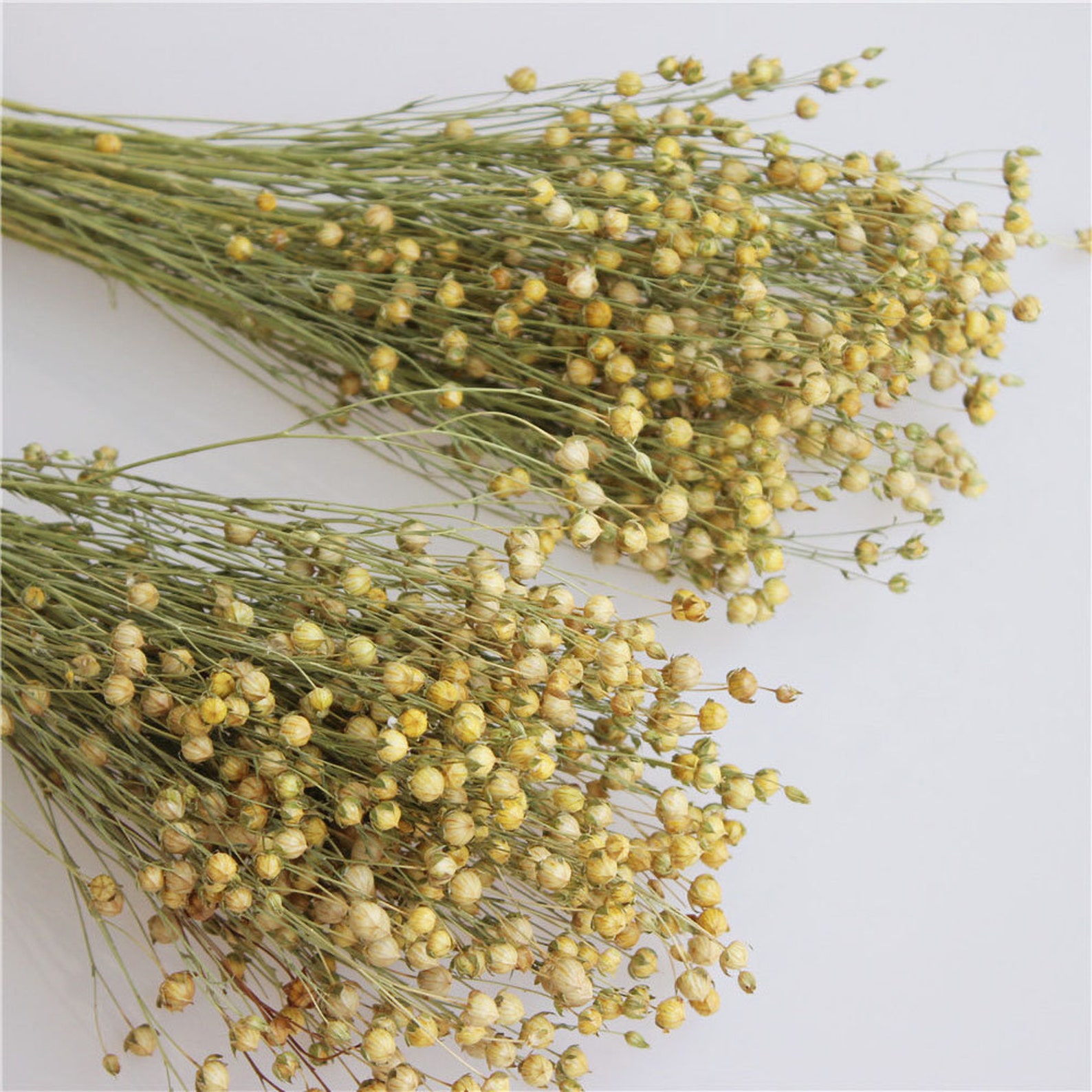 Dried Flax Fruits Bouquetdried Flowers Arrangementdried - Etsy