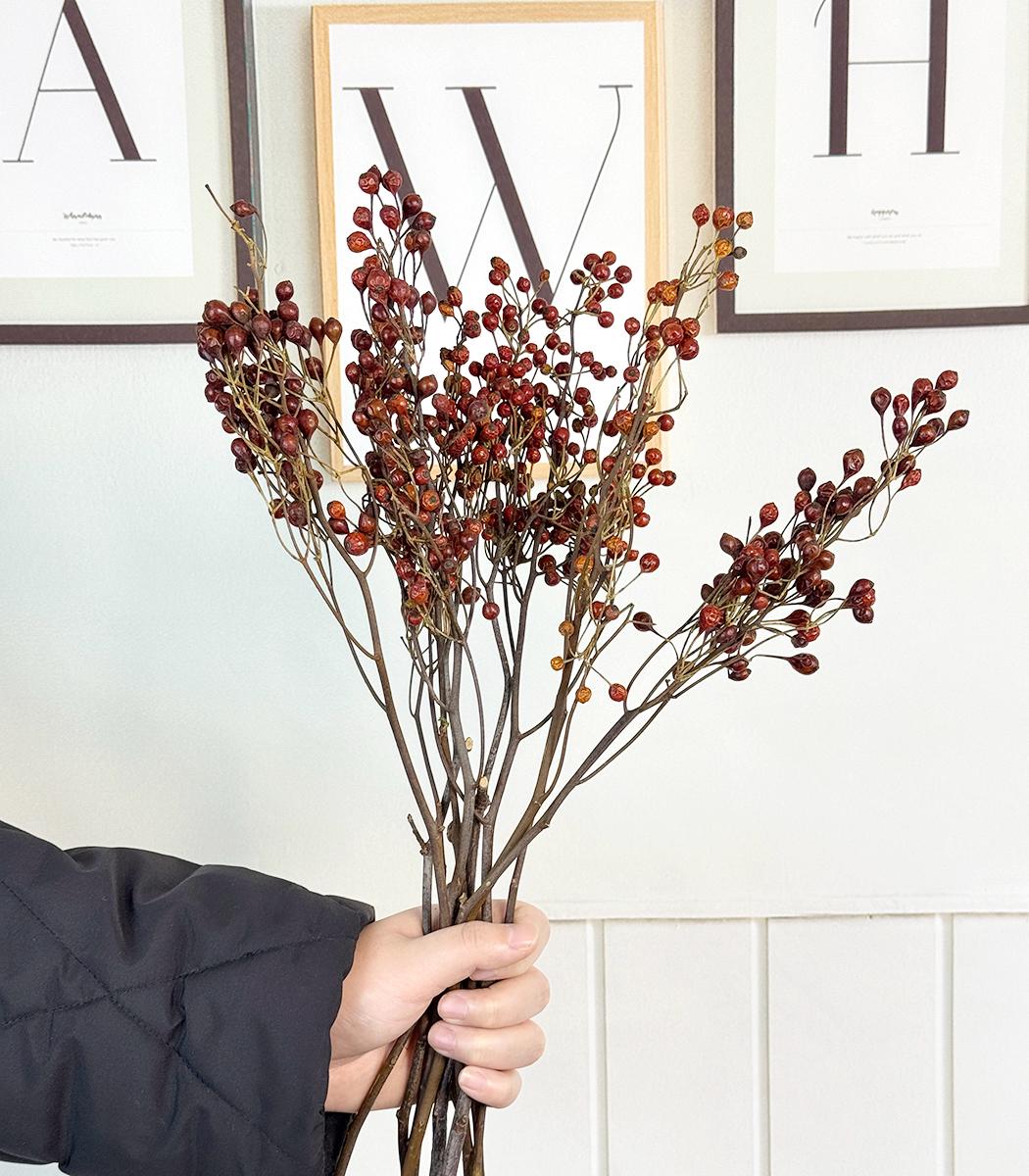 Small Red Fruit Branches , Dried Natural Red Fruits Bunch，vase Filling ...