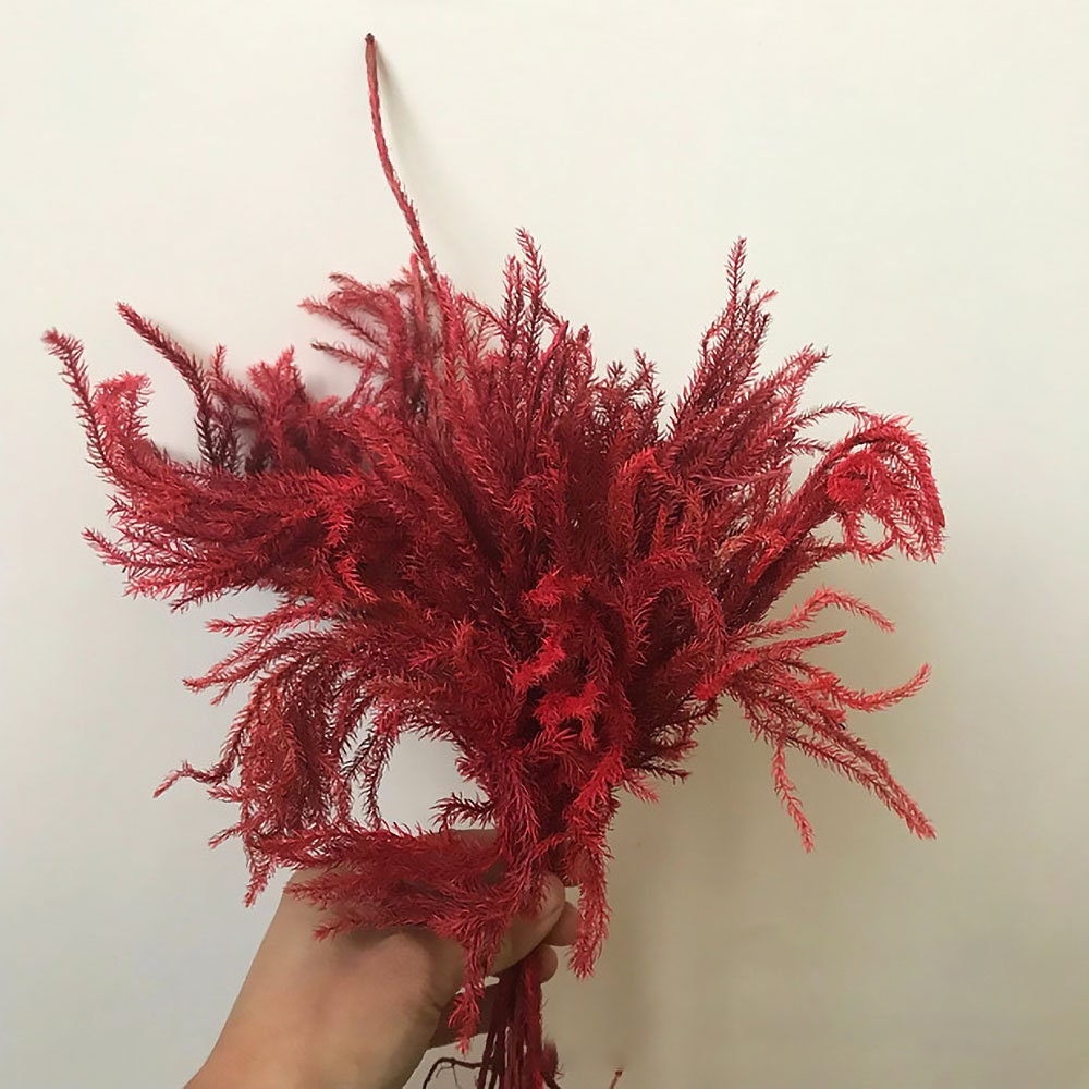 Preserved Lycopodium Bunch，dried Princess Pine Grass，dried Flowers ...
