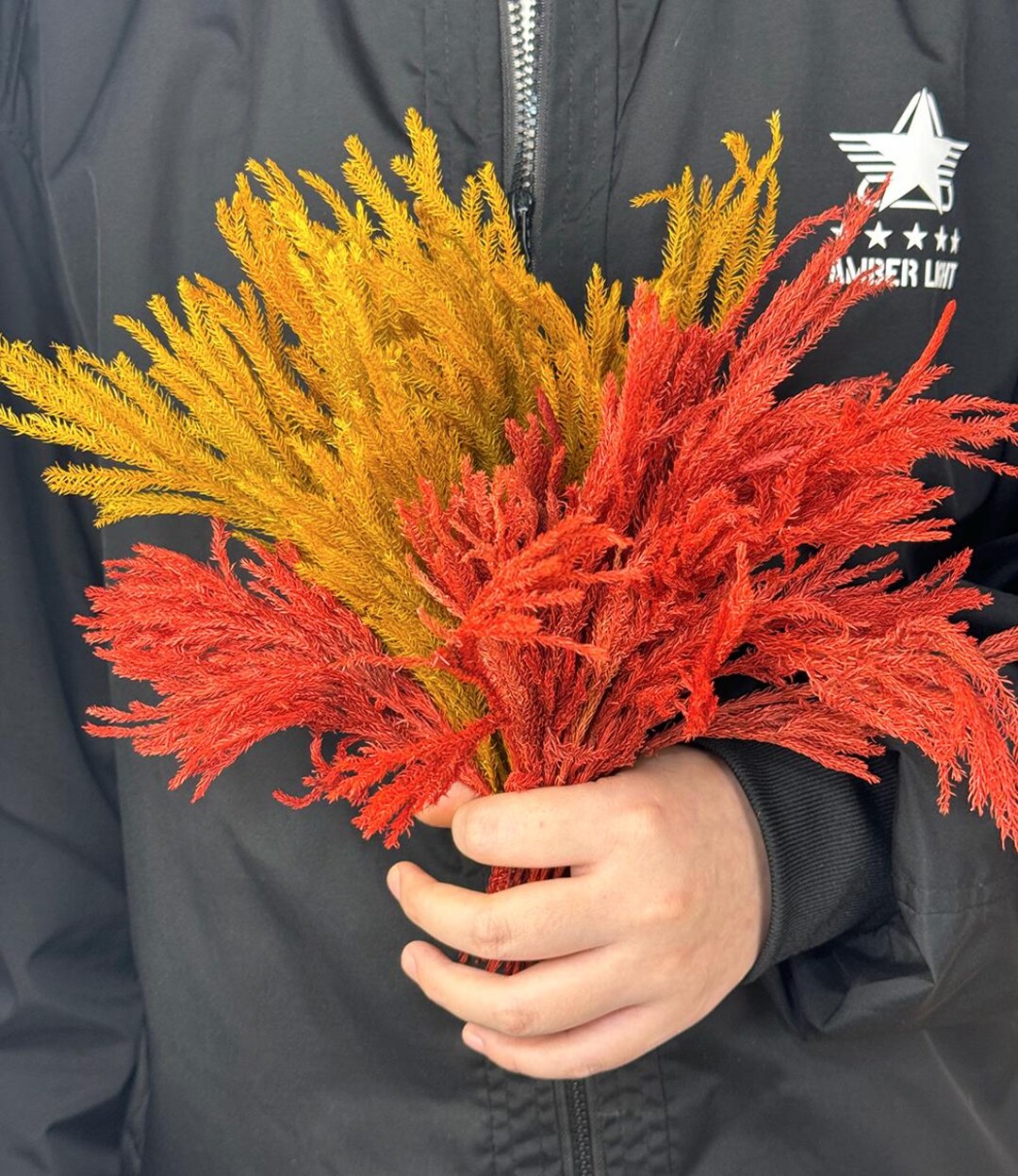 Preserved Red/yellow Lycopodium Bundle, Natural Lycopodium, Natural ...