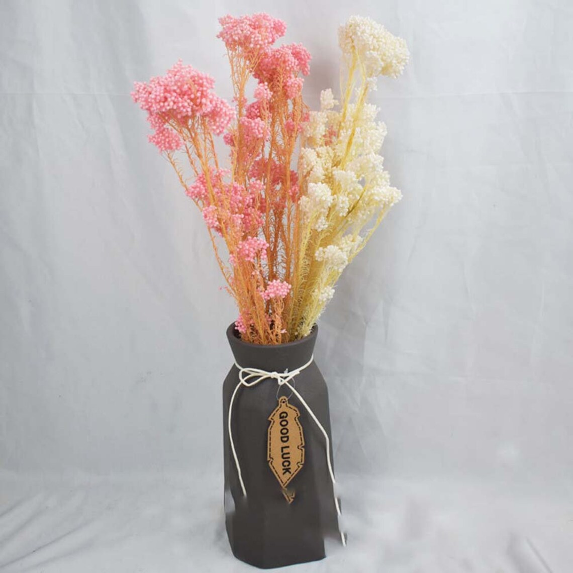 Dry AUS Rice Flower Preserved Rice Flower Dried Flowers - Etsy