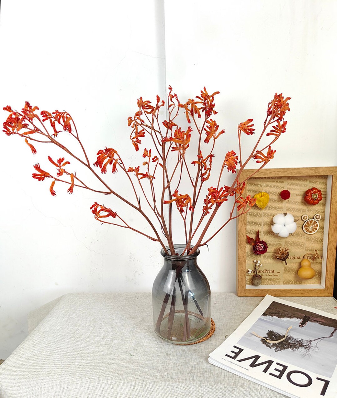 Orange/yellow Kangaroo Paw Bunch，preserved Kangaroo Flowers，dried ...