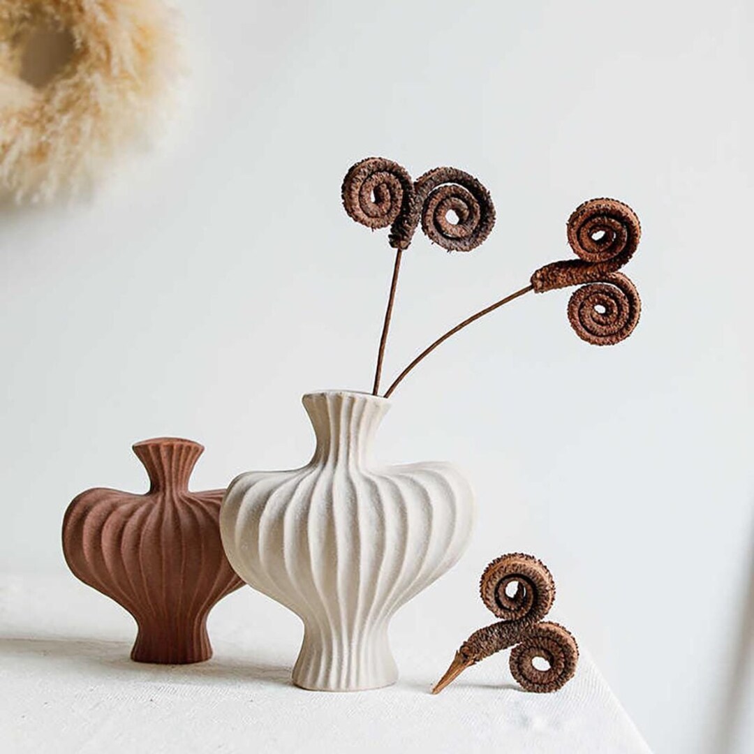 Natural Horn Shape Plant Stems, Sheeps Horns Shape Branches, Natural ...