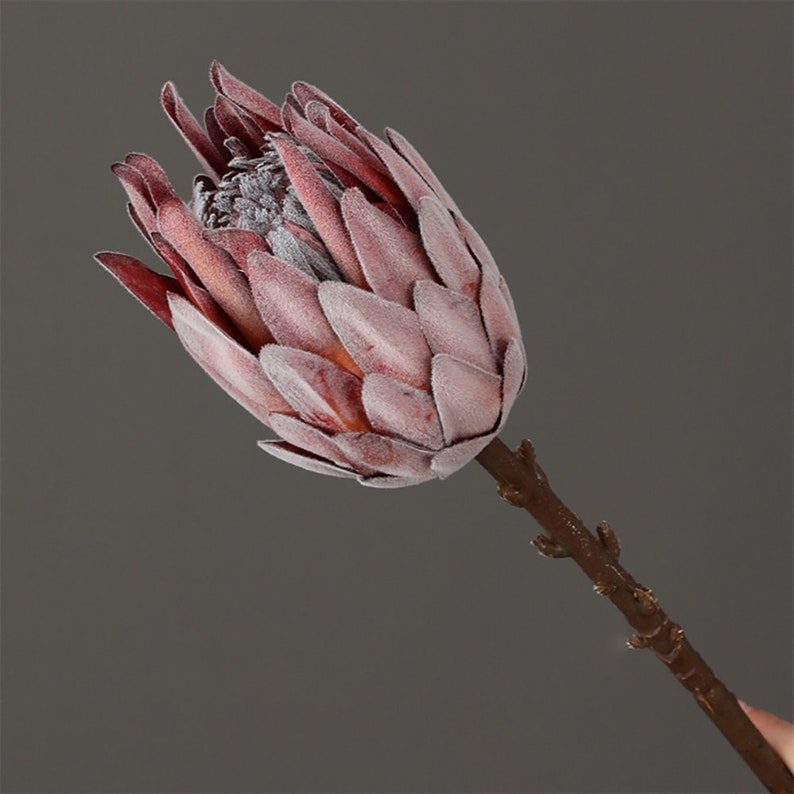 1/2/5 Artificial Protea Stem，high Real Feel Protea Flower，flower ...