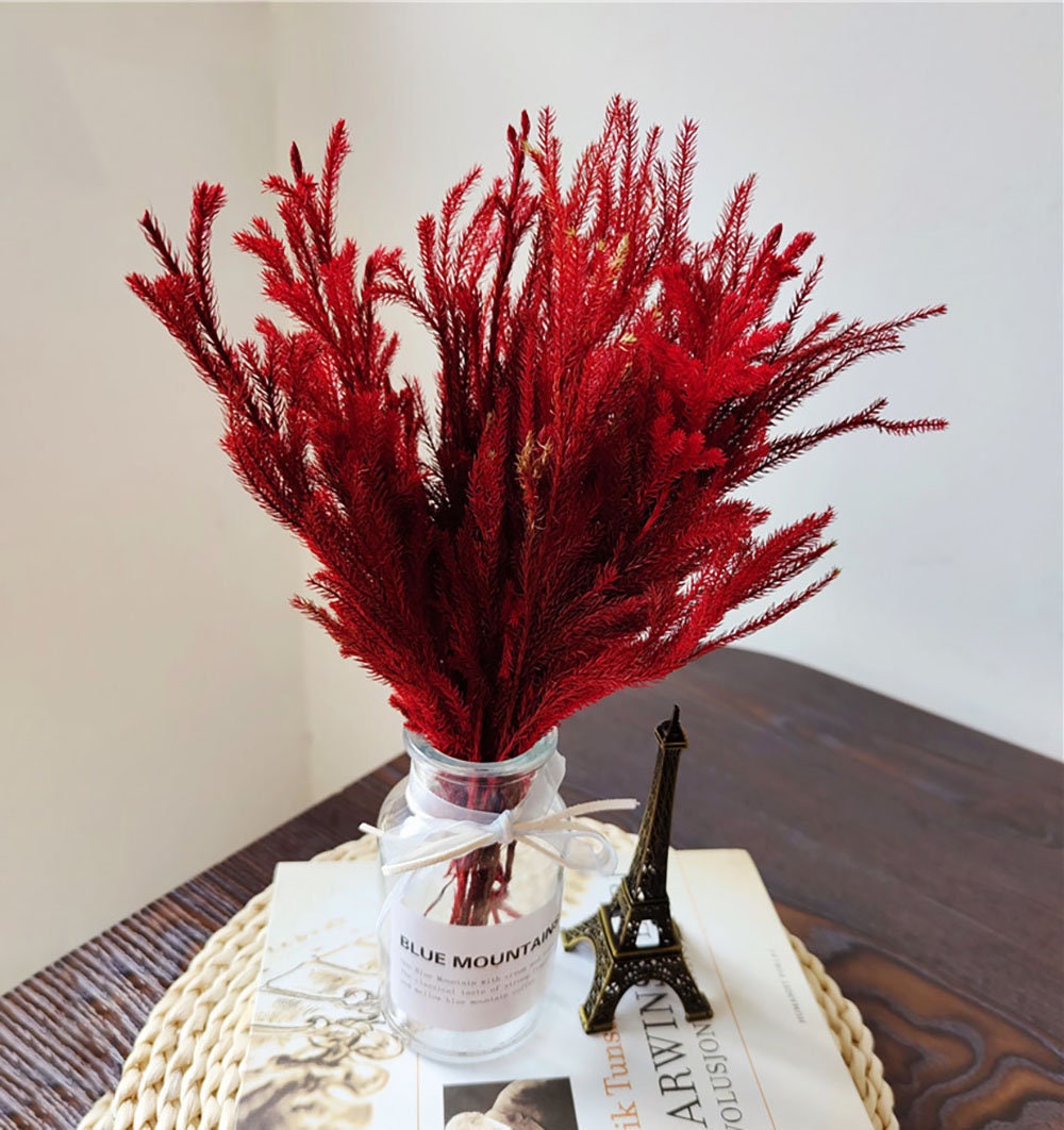 1/2/5 Preserved Princess Pine Grass Bunchnatural Grass - Etsy