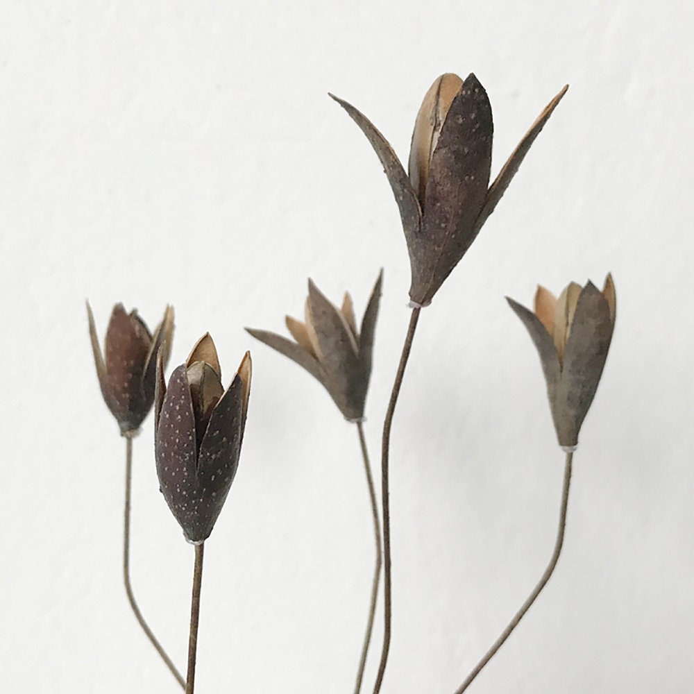 10 Sticks Small Magnolia Flower，natural Flowers，artificials Flowers ...