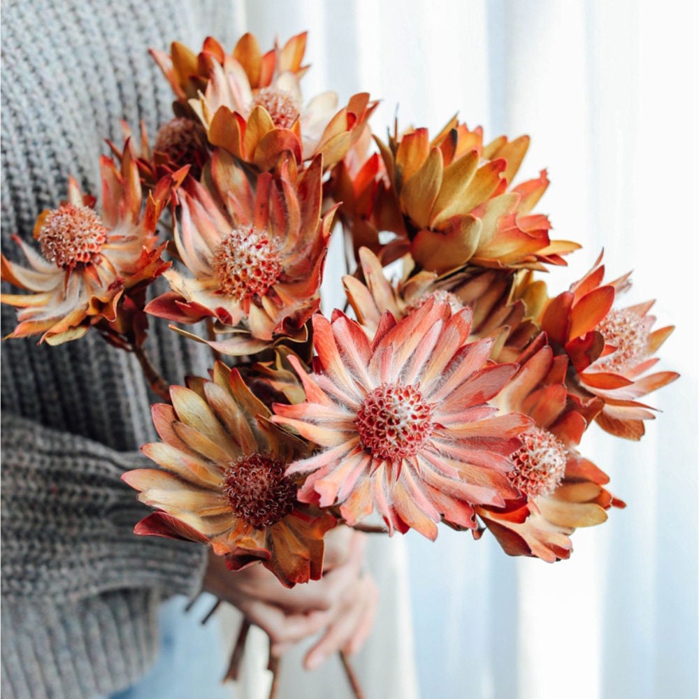 Dried Flowers Branchesnatural Flowers With Leavesdried - Etsy