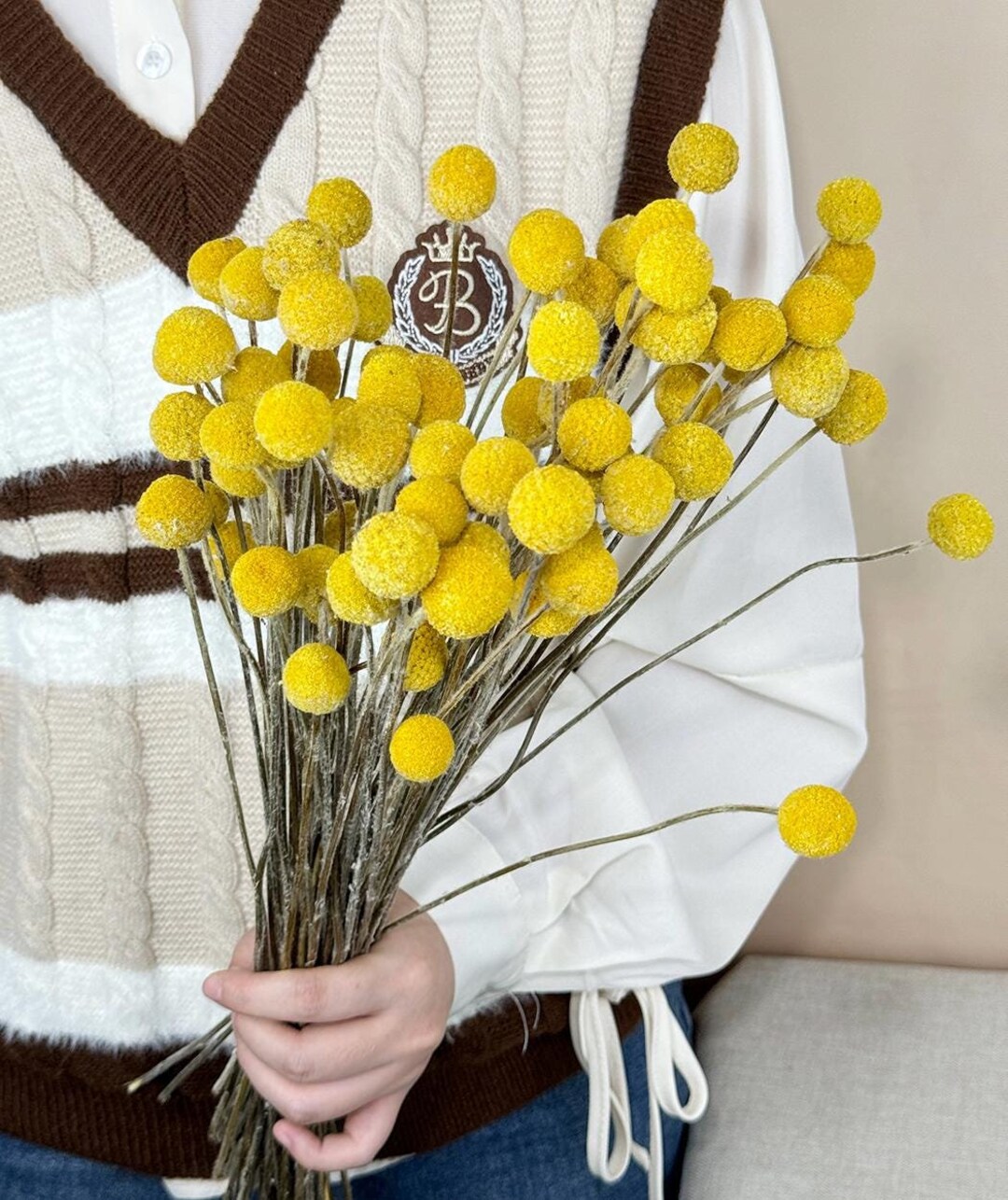 Natural Dried Billy Balls, Dry Craspedia Flower Stems, Natural Plants, Dried Flower Arrangements ...