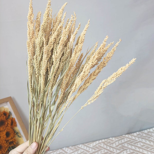 Dried Grass Wreath - Etsy