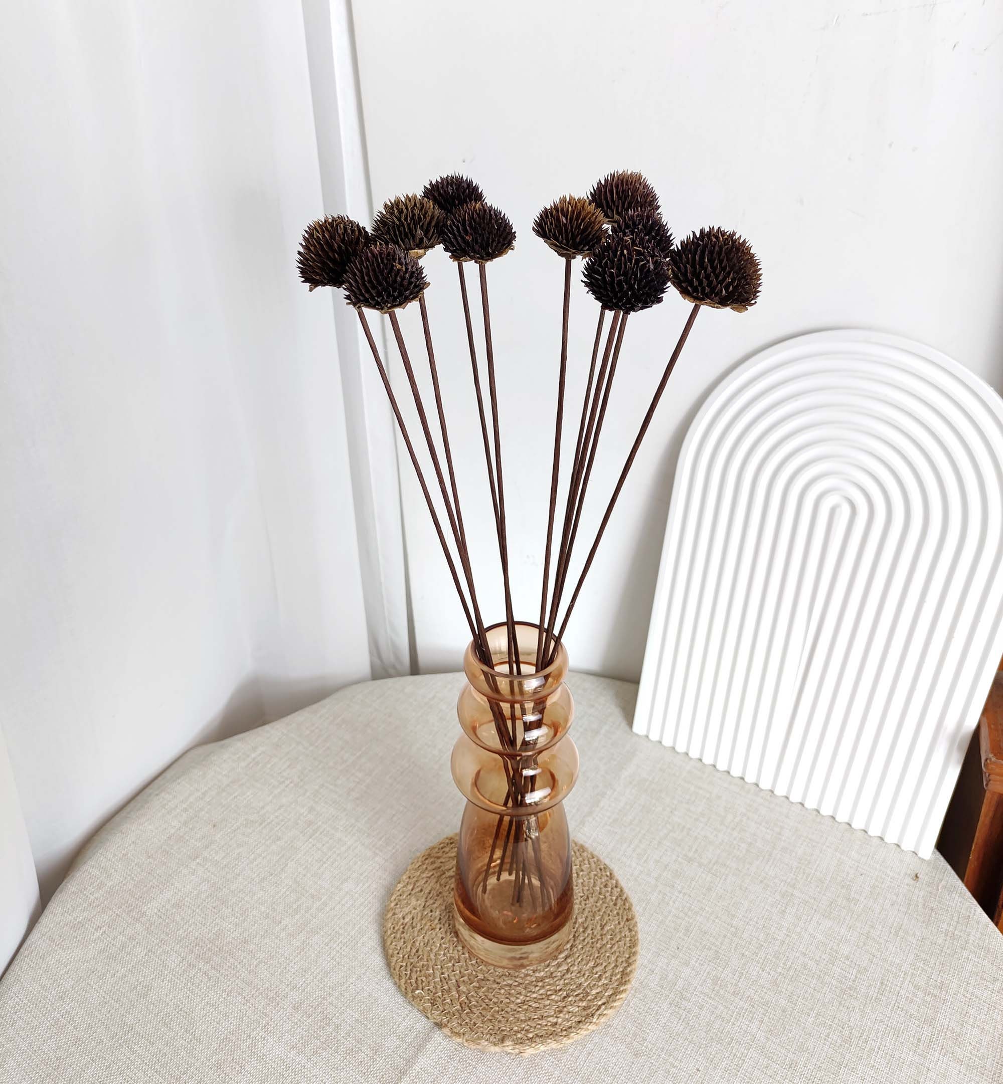 10 Sticks Natural Thorn Ball Branches，dried Flower Branches，dried ...