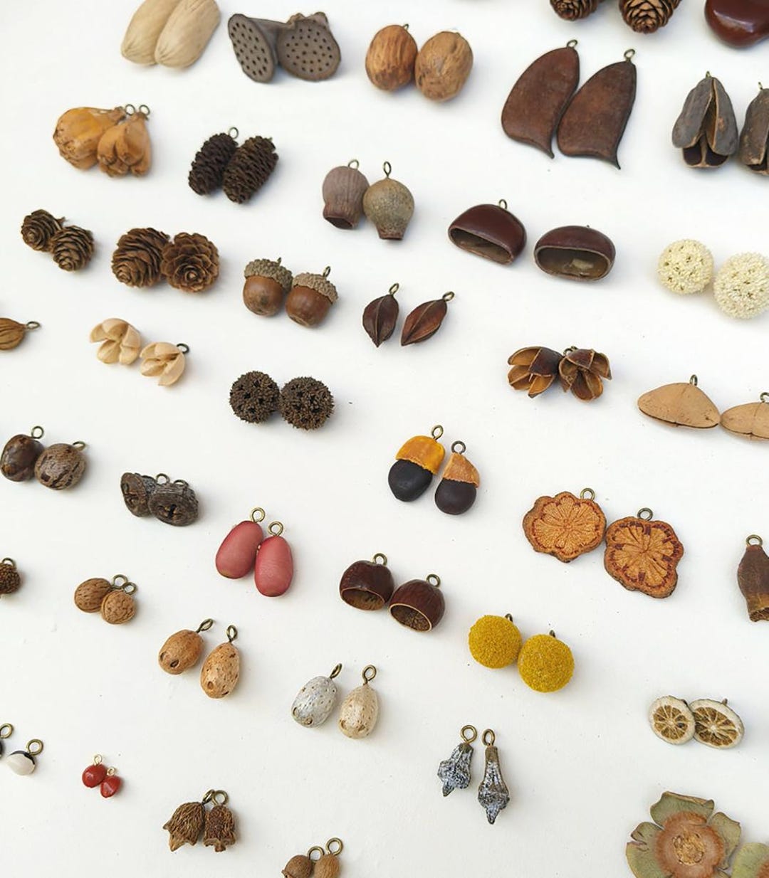 10 Type of Natural Dried Fruits Materials，diy Jewelry Accessories，diy ...