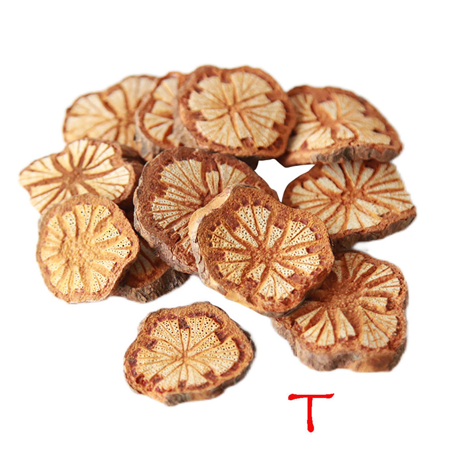 10 Type Natural Fruits Materials Packagedry Flowers - Etsy