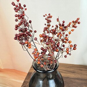 Dried Small Red Fruits Branches，natural Red Flower，dry Flower Bunch ...